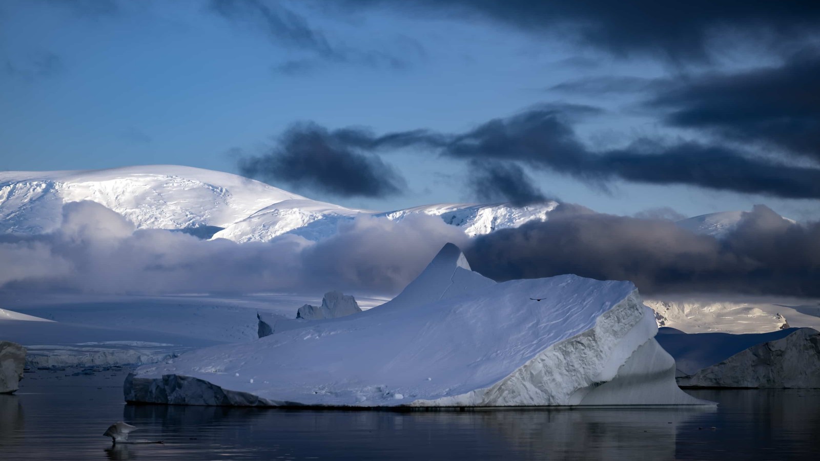 Verity - World's Largest Iceberg Potentially Threatens Wildlife Haven