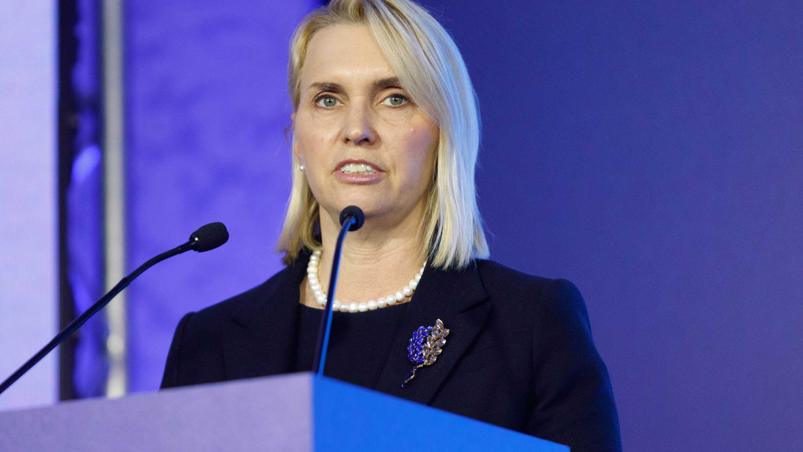 Verity - US Ambassador to Ukraine to Step Down