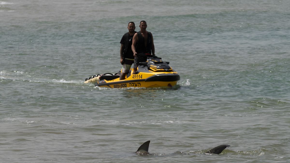 Verity - Israel: Diver Presumed Dead After Rare Shark Attack