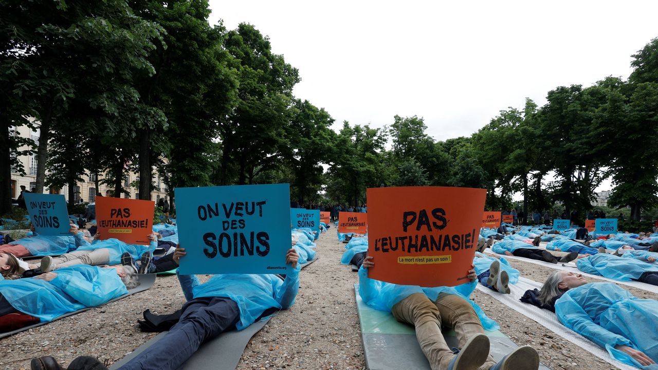 Verity - French Lawmakers Approve Assisted Dying Bill