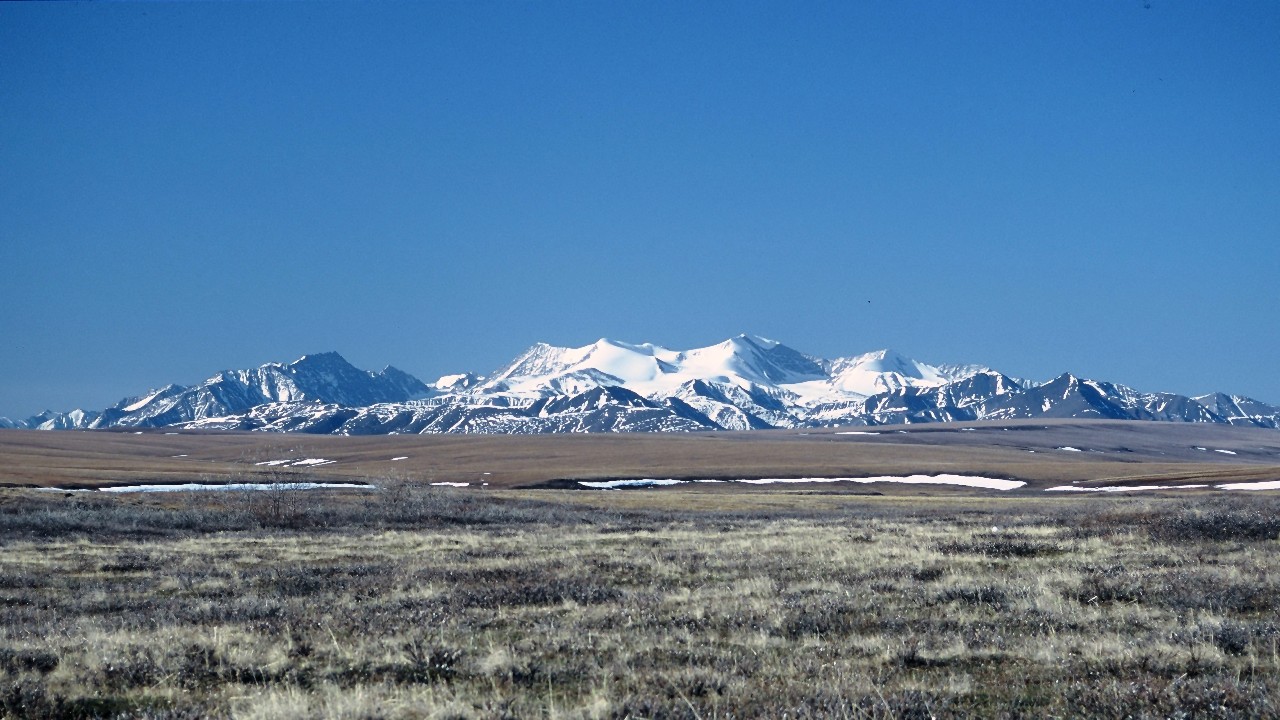 Verity - Trump Admin Reopens 1.56M Acres of Arctic Refuge for Drilling